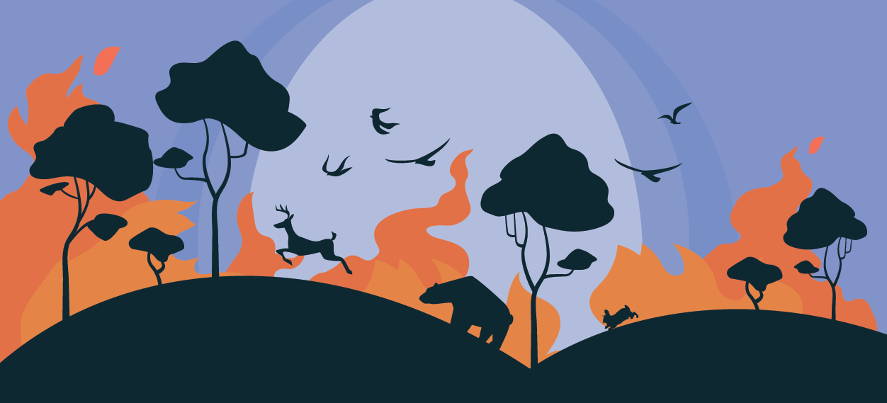 Wildfires in Canada | Callysto